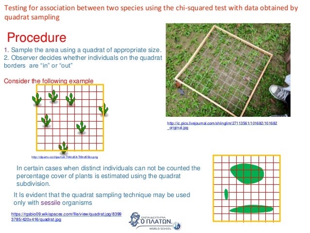 4.1 Species, communities and ecosystems