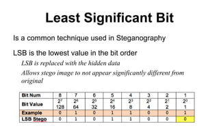 SteganalysisPres | PPT