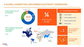 EDFR Company Profile | PDF
