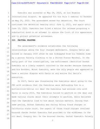 Serhat Gumrukcu bail motion | PDF
