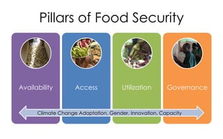 Mrs Amy Coughenour: Achieving Food Security through Nutrition Led ...