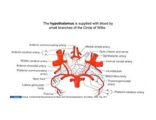 03.18.09(b): Hypothalmus | PDF