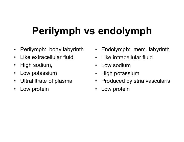 03.18.09(d): Ear Histology