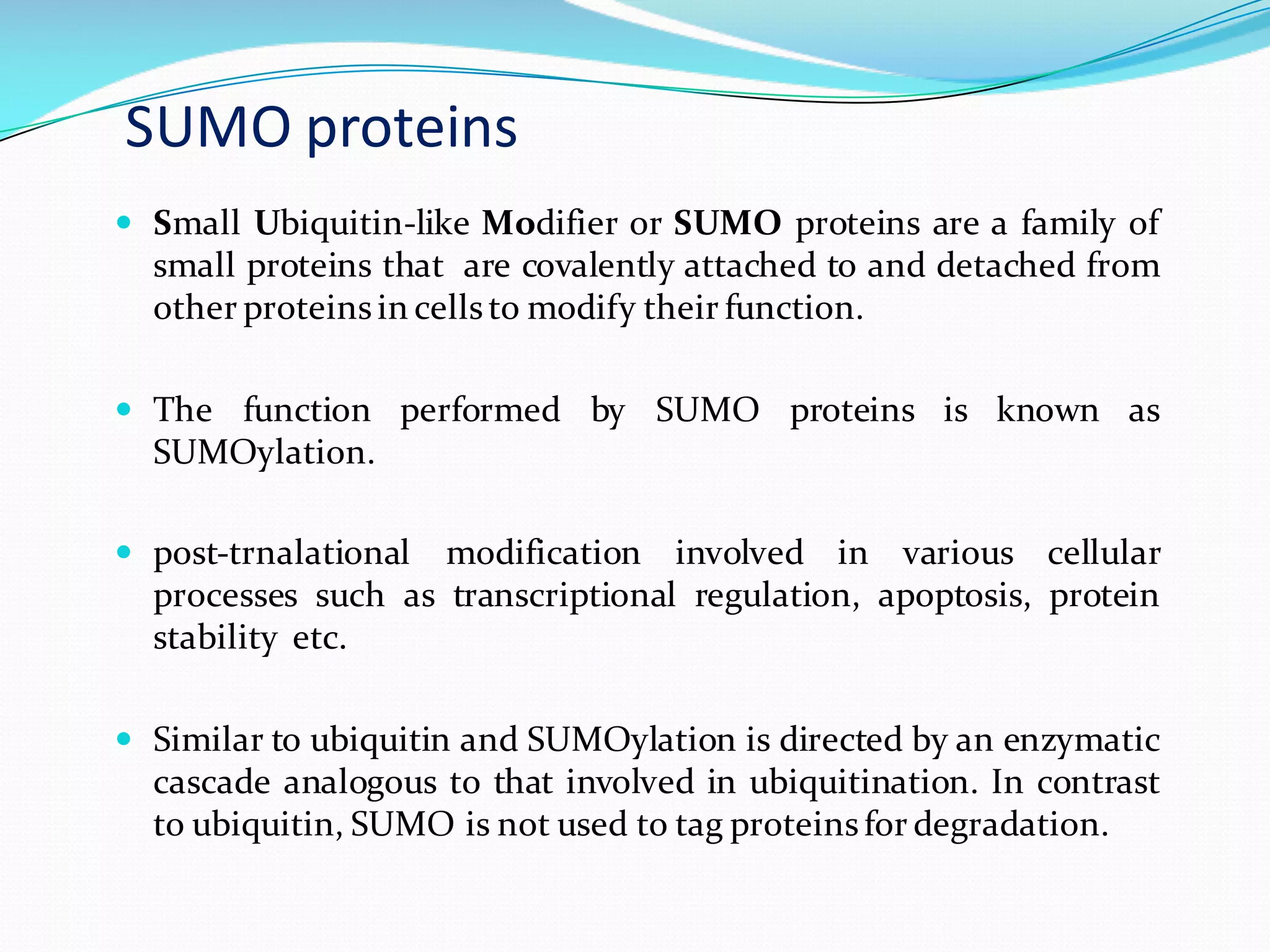Molecular Dynamics And Simulations Pdf Programming Languages
