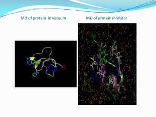 Molecular dynamics and Simulations | PDF