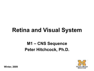03.20.09: Retina and Visual System | PPT