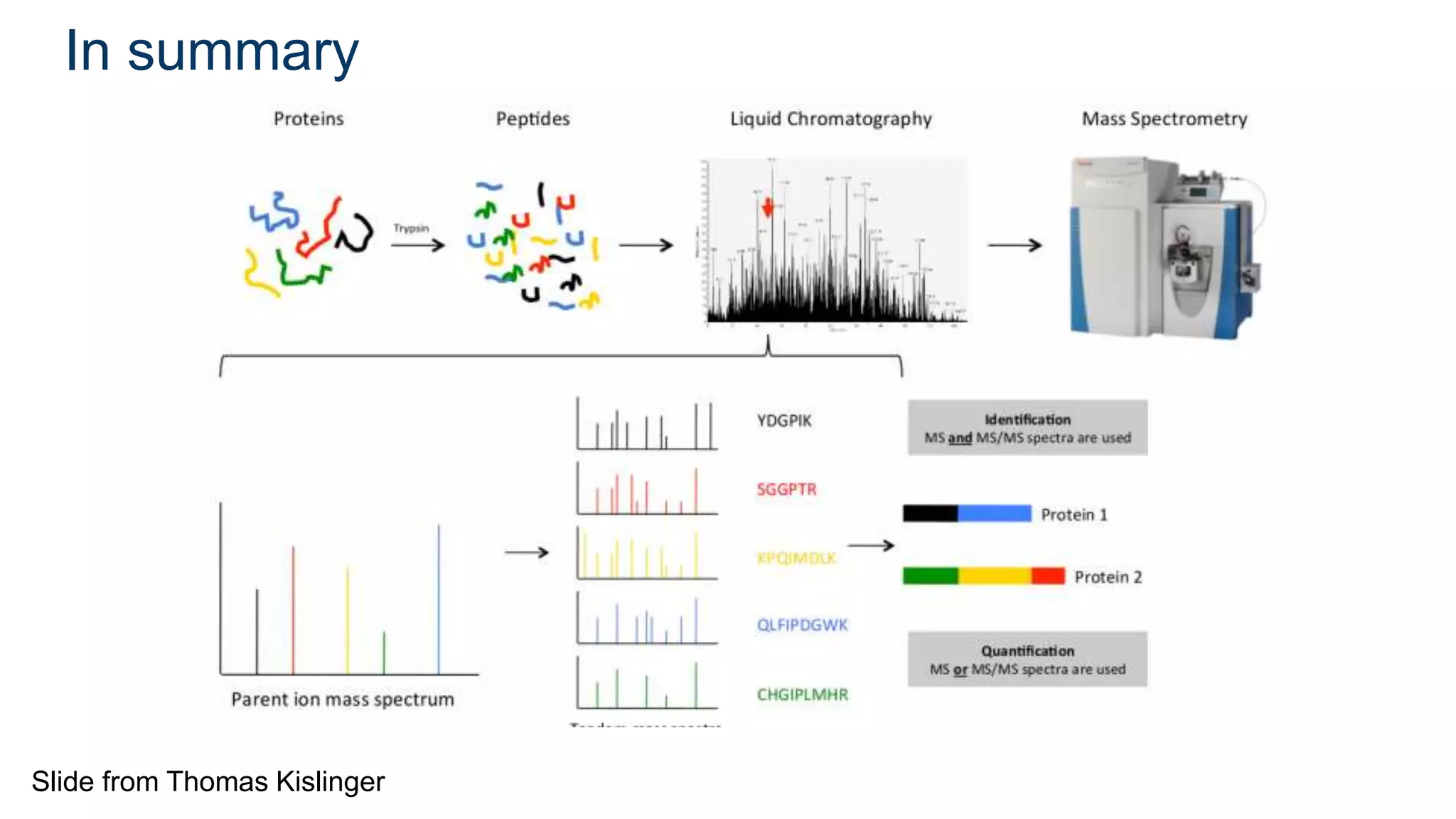 Introduction to proteomics | PPTX
