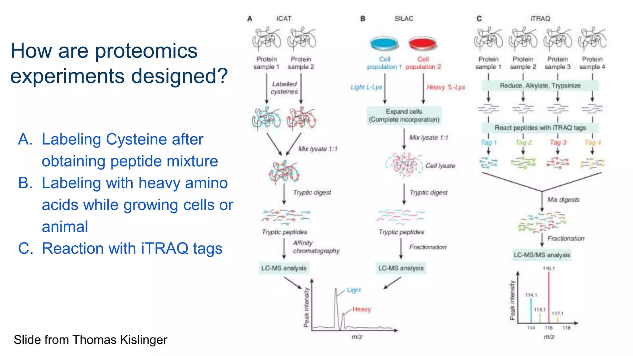 Introduction to proteomics | PPTX