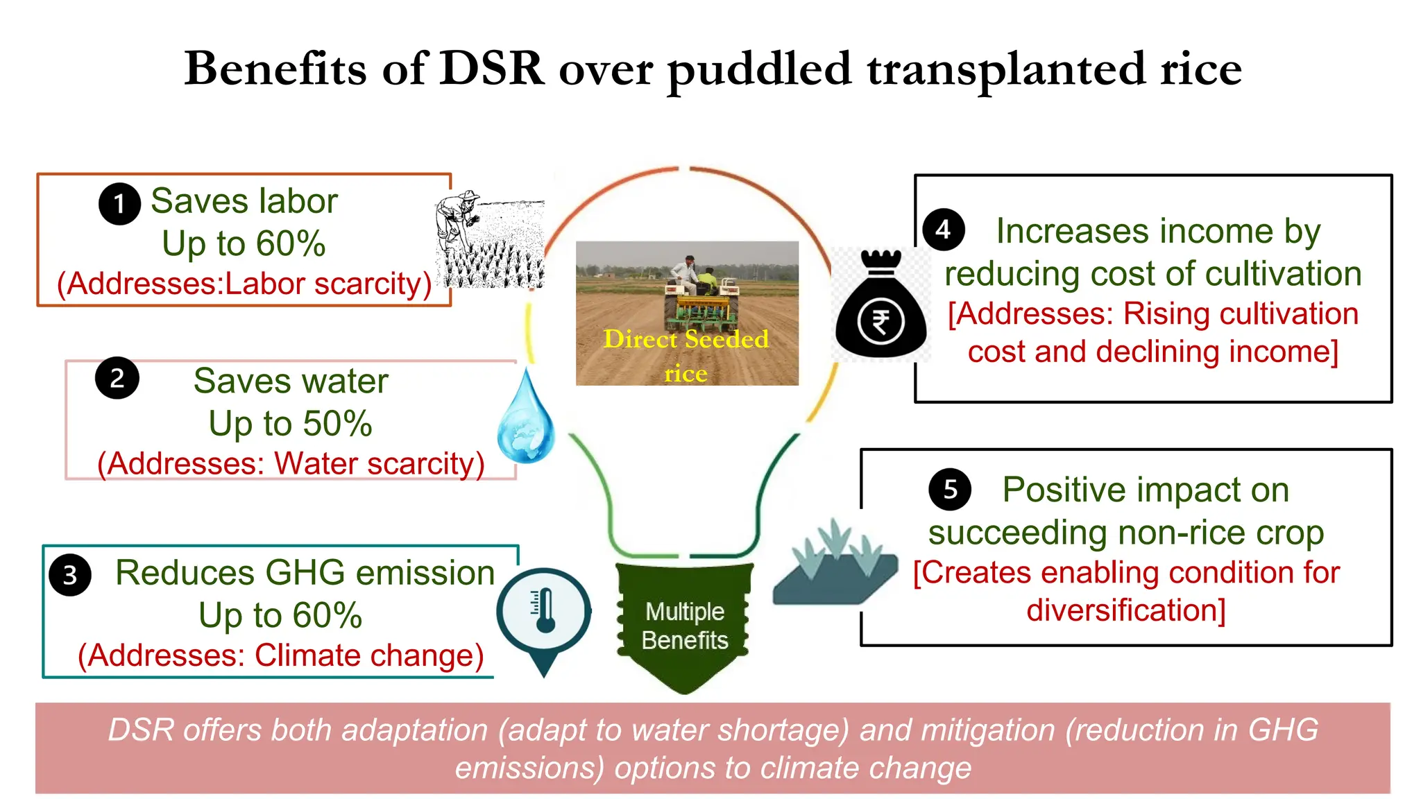 Direct Seeded Rice - Climate Smart Agriculture | PDF