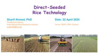 Direct Seeded Rice - Climate Smart Agriculture | PDF