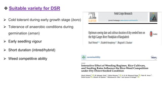 Direct Seeded Rice - Climate Smart Agriculture | PDF