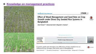 Direct Seeded Rice - Climate Smart Agriculture | PDF