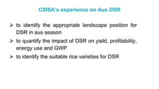 Direct Seeded Rice - Climate Smart Agriculture | PDF