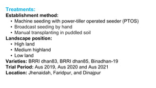 Direct Seeded Rice - Climate Smart Agriculture | PDF