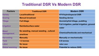 Direct Seeded Rice - Climate Smart Agriculture | PDF