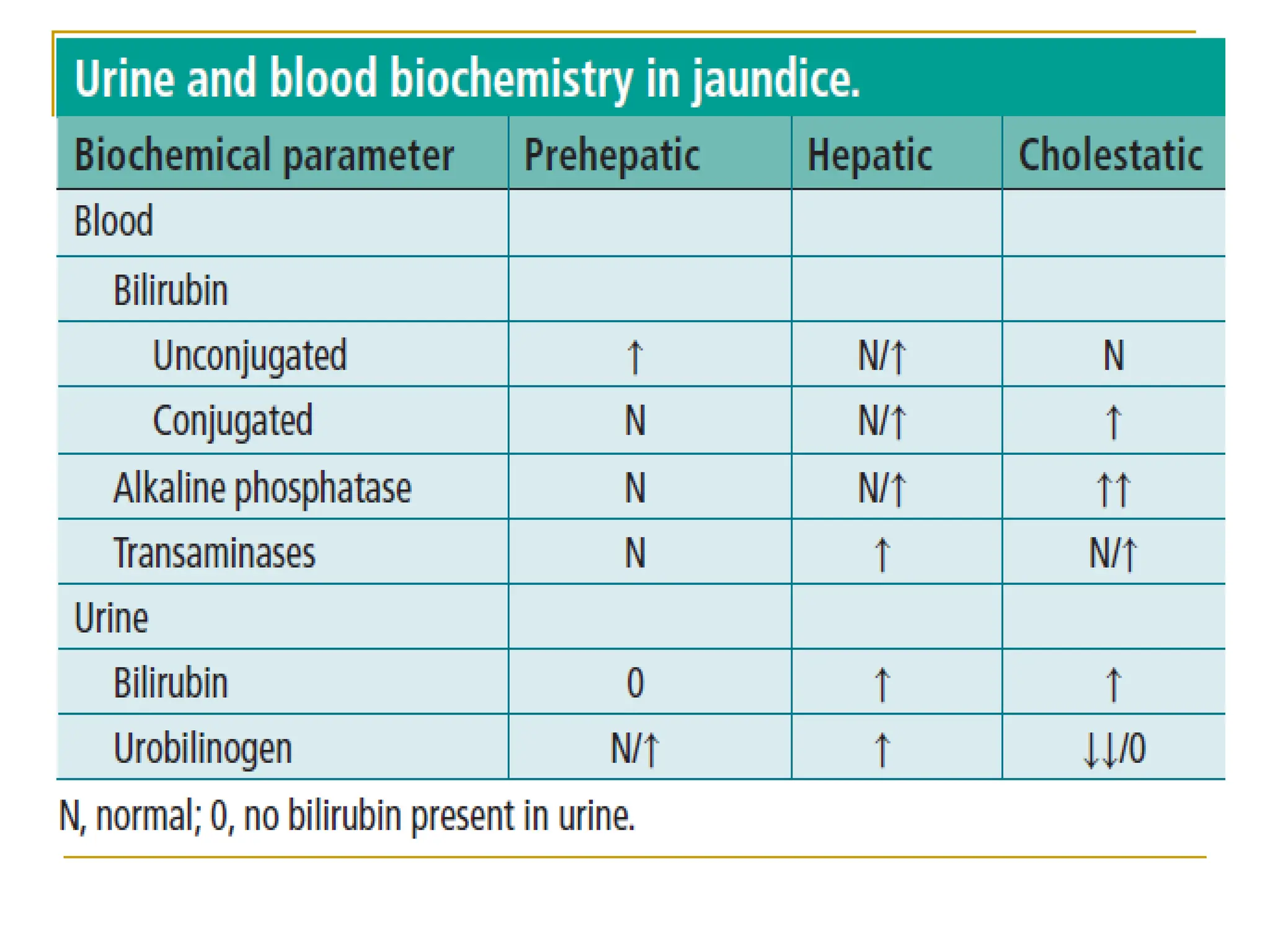 03251163_jaundice_asc_port_hypertension.pptx