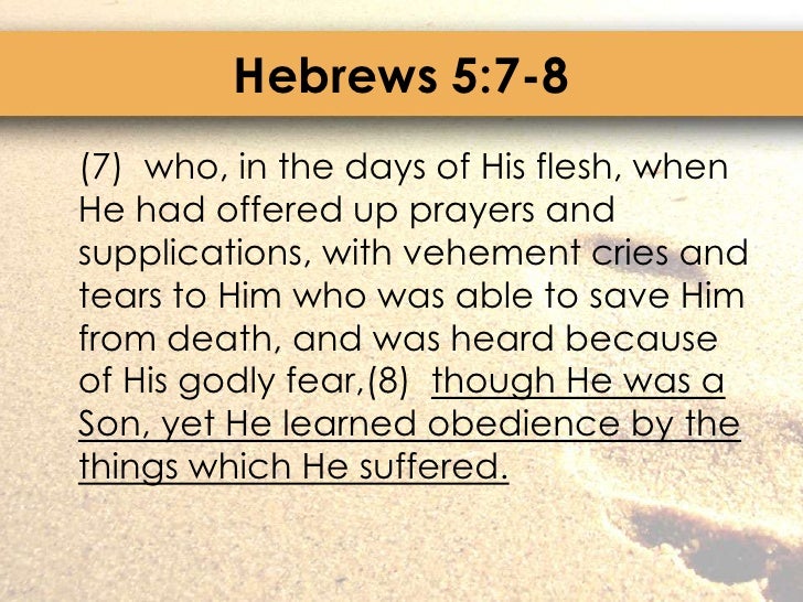 More Like the Master: Obedient