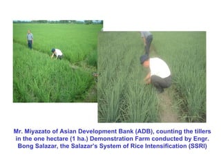 0329 SRI, TQPM, SRI(modified), and Minus-One Element in SPISP | PPT