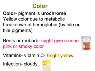 physiology and anatomy of urinary system | PPT