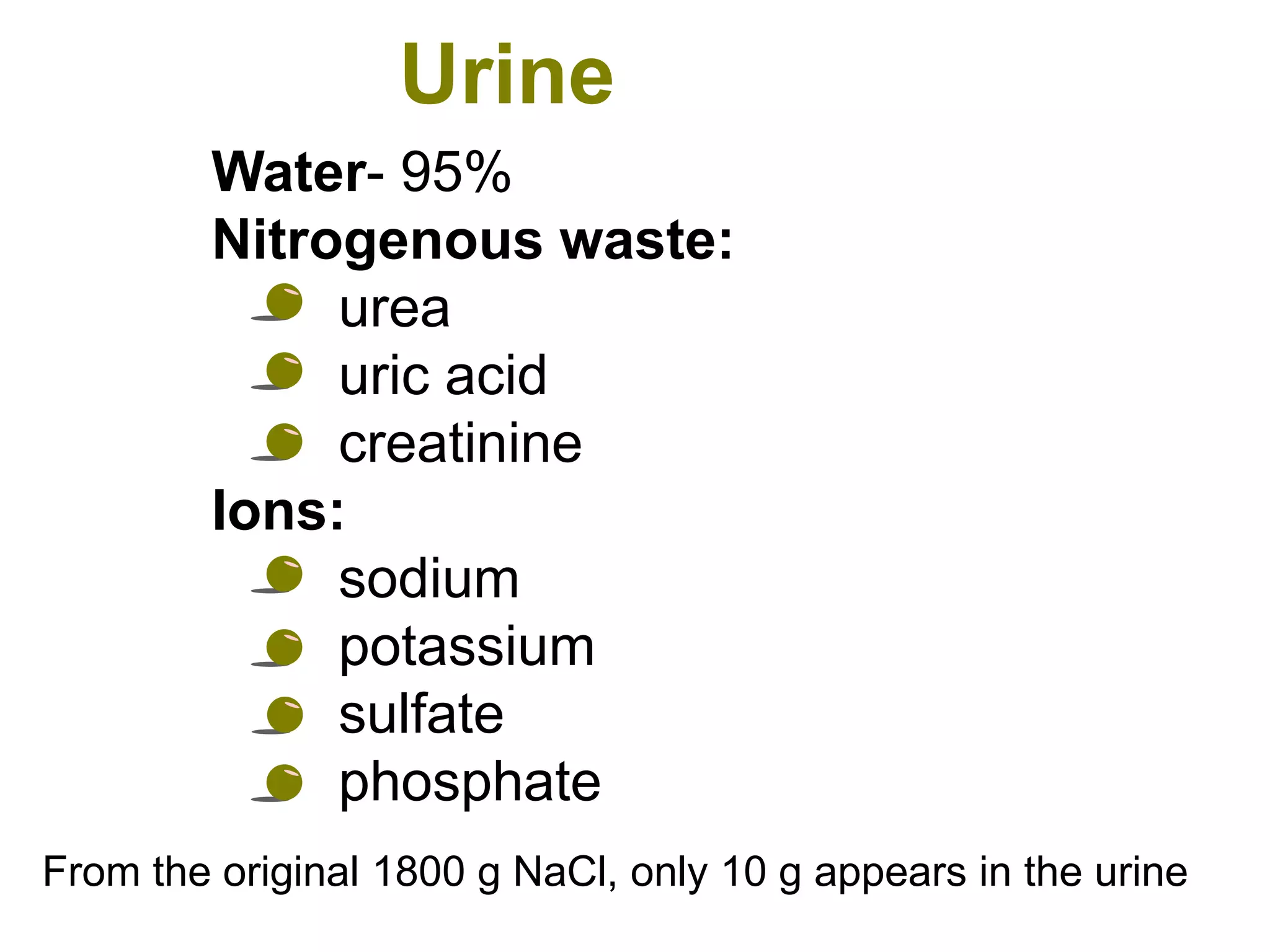 Anatomy and physiology urinary system | PPT
