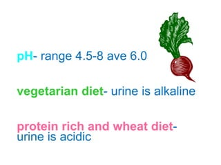 Anatomy and physiology urinary system | PPT