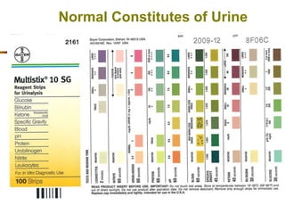 Anatomy and physiology urinary system | PPT