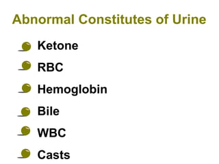 Anatomy and physiology urinary system | PPT