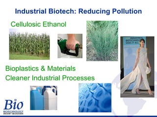 Biotechnology Feeds, Heals, and Fuels the World | PPT