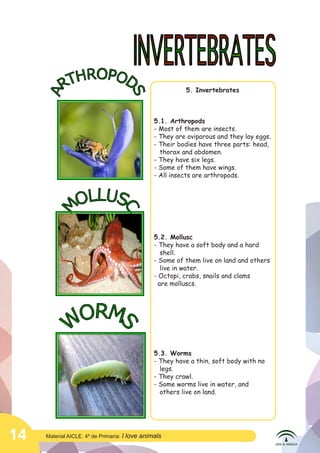 I Love Animals 4th Primary Pdf