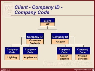 SAP FI Organization Structure | http://sapdocs.info