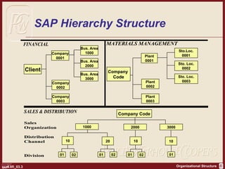 SAP FI Organization Structure | http://sapdocs.info