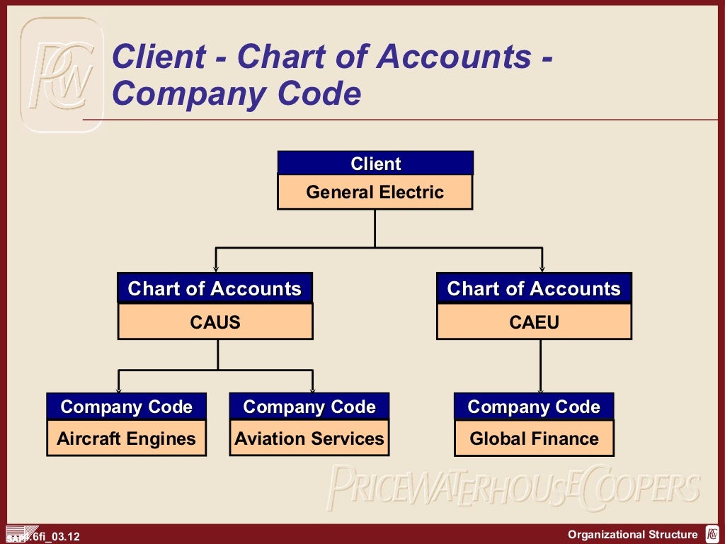 SAP FI Organization Structure | http://sapdocs.info