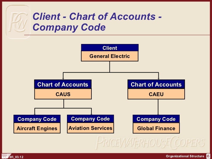 SAP FI Organization Structure | http://sapdocs.info