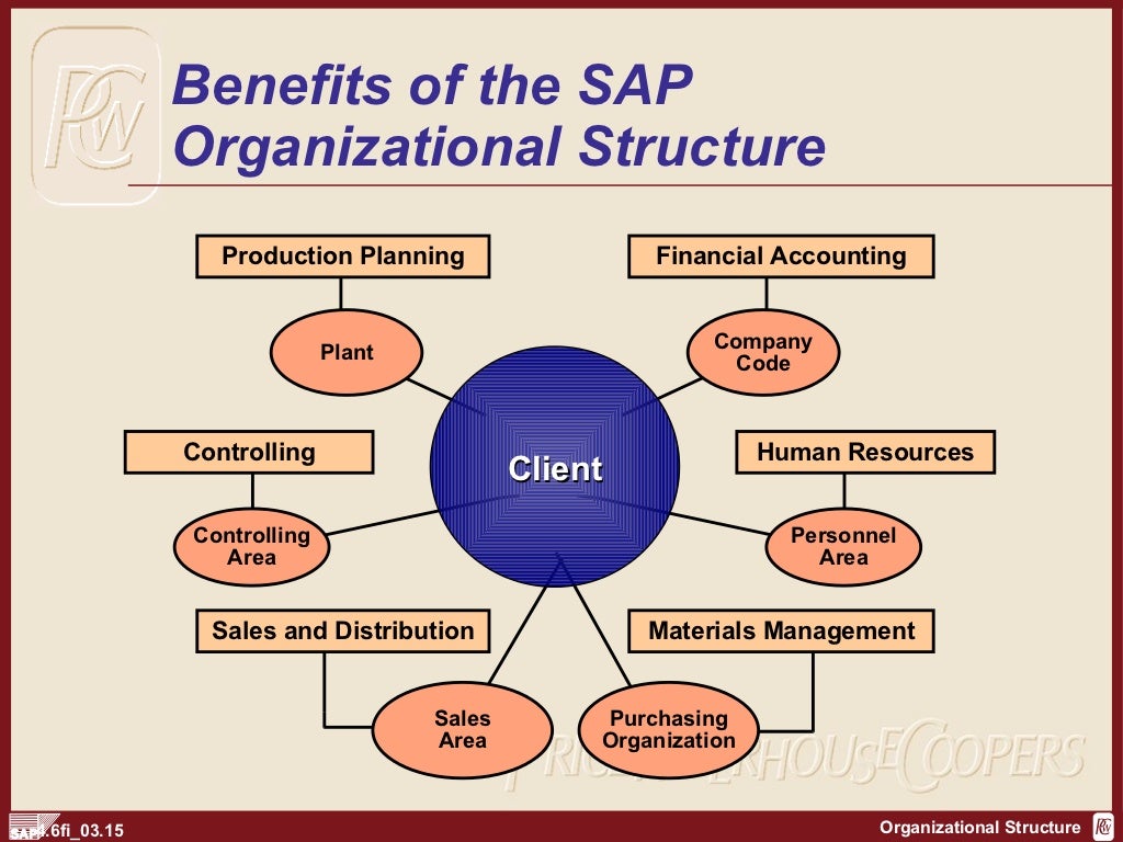 SAP FI Organization Structure Http sapdocs info SAP FI Organization Structure Http sapdocs info