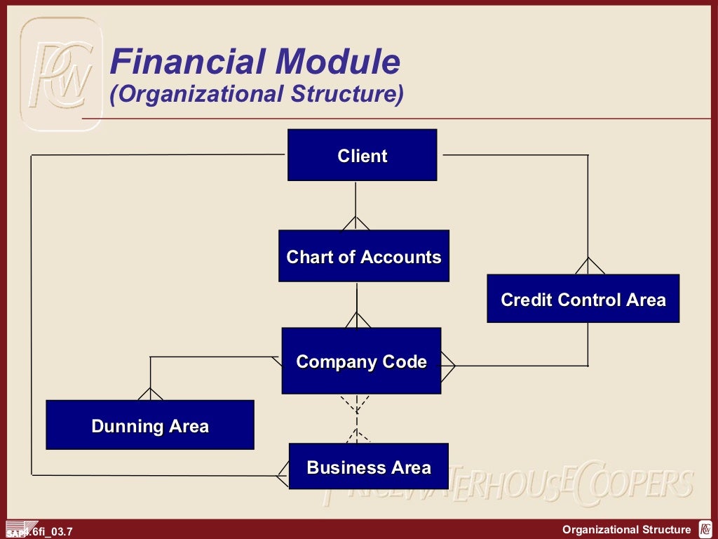 SAP FI Organization Structure | http://sapdocs.info