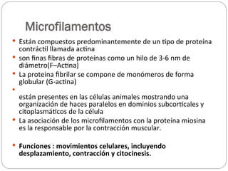 biologia_celula_citoesqueleto_celular.ppt