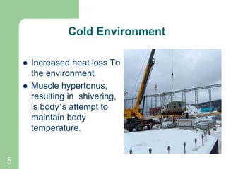034 Cold Stress.ppt