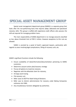 management report | DOCX