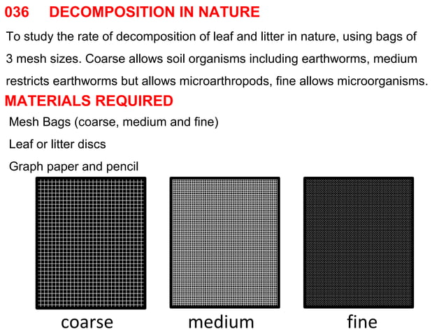 036 decomposition in nature | PPT