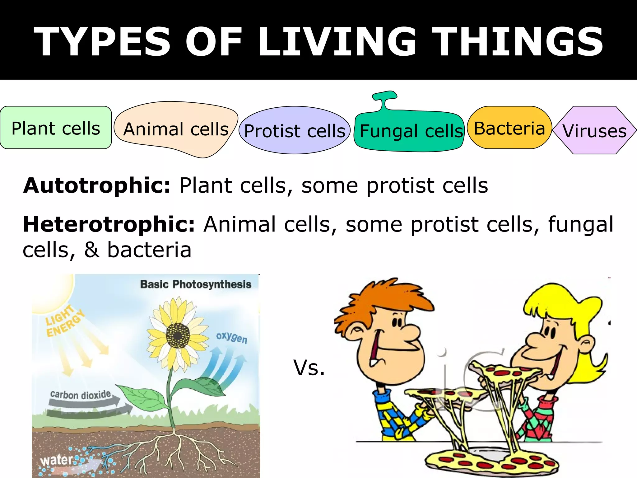 03 6 kingdoms + prokaryote & eukaryote | PPT