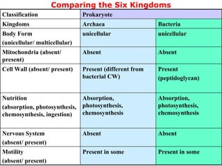 03 6 kingdoms + prokaryote & eukaryote | PPT