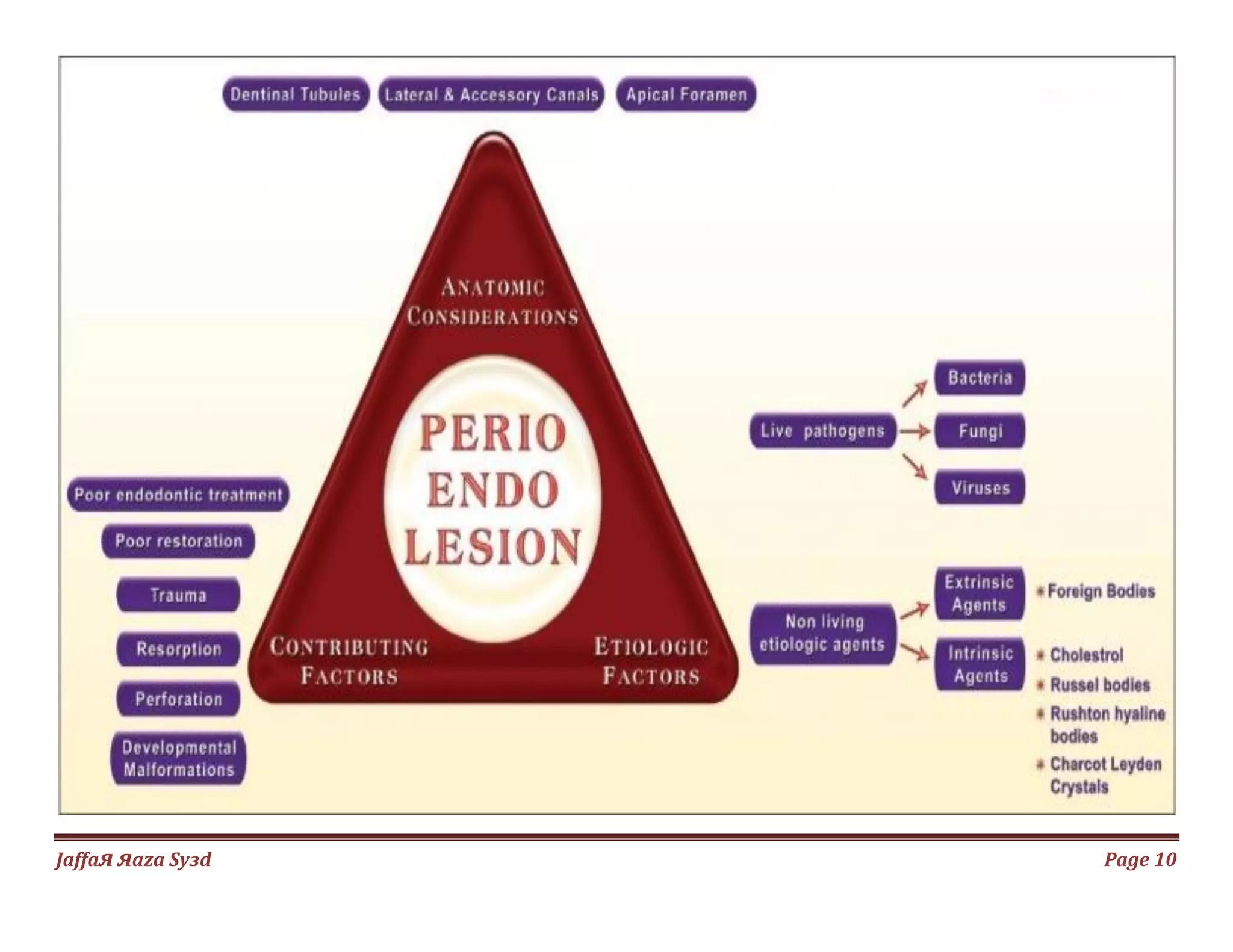 038. endo perio lesions | PDF