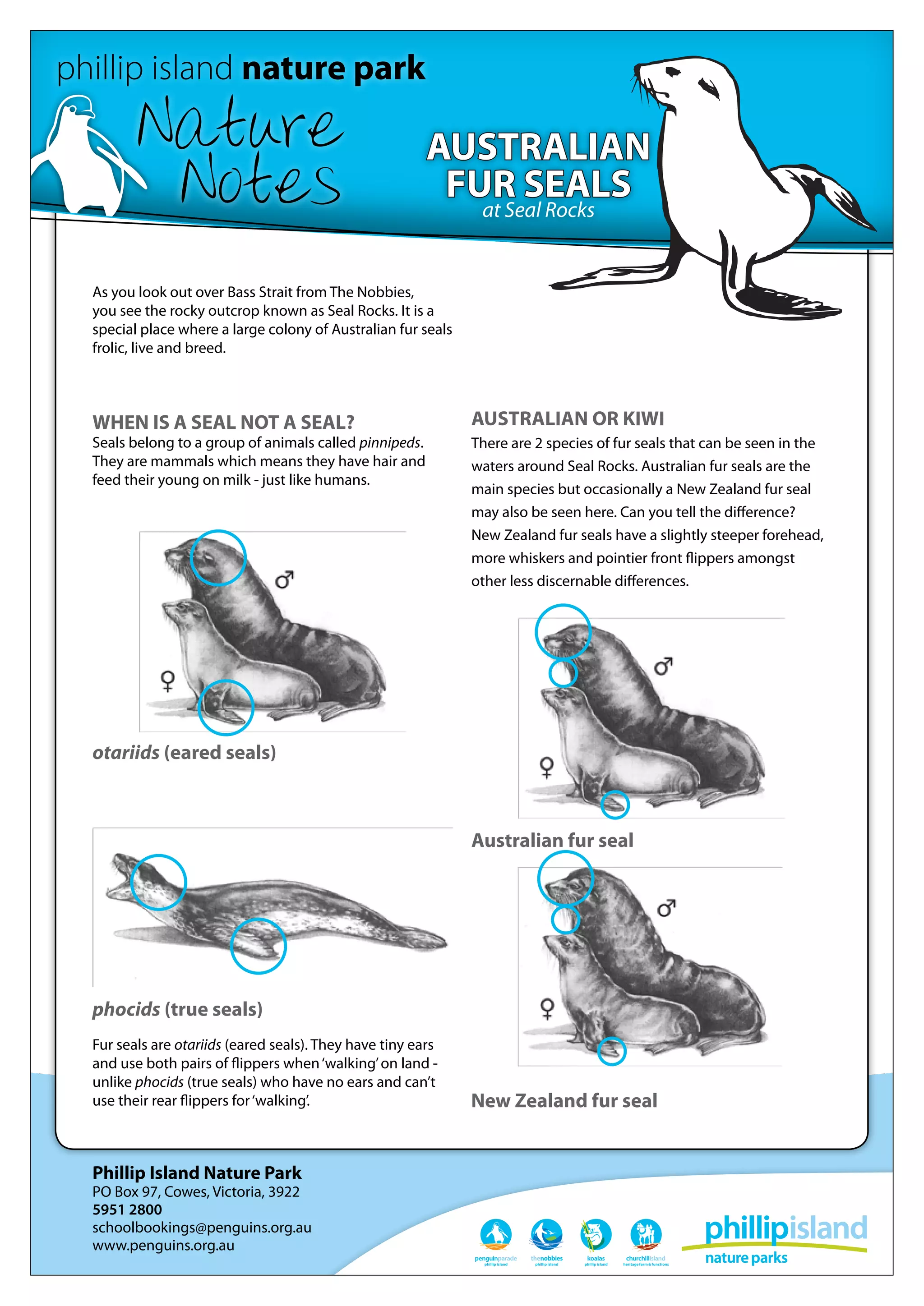 0382 pnp2 nature notes seals v4 | PDF