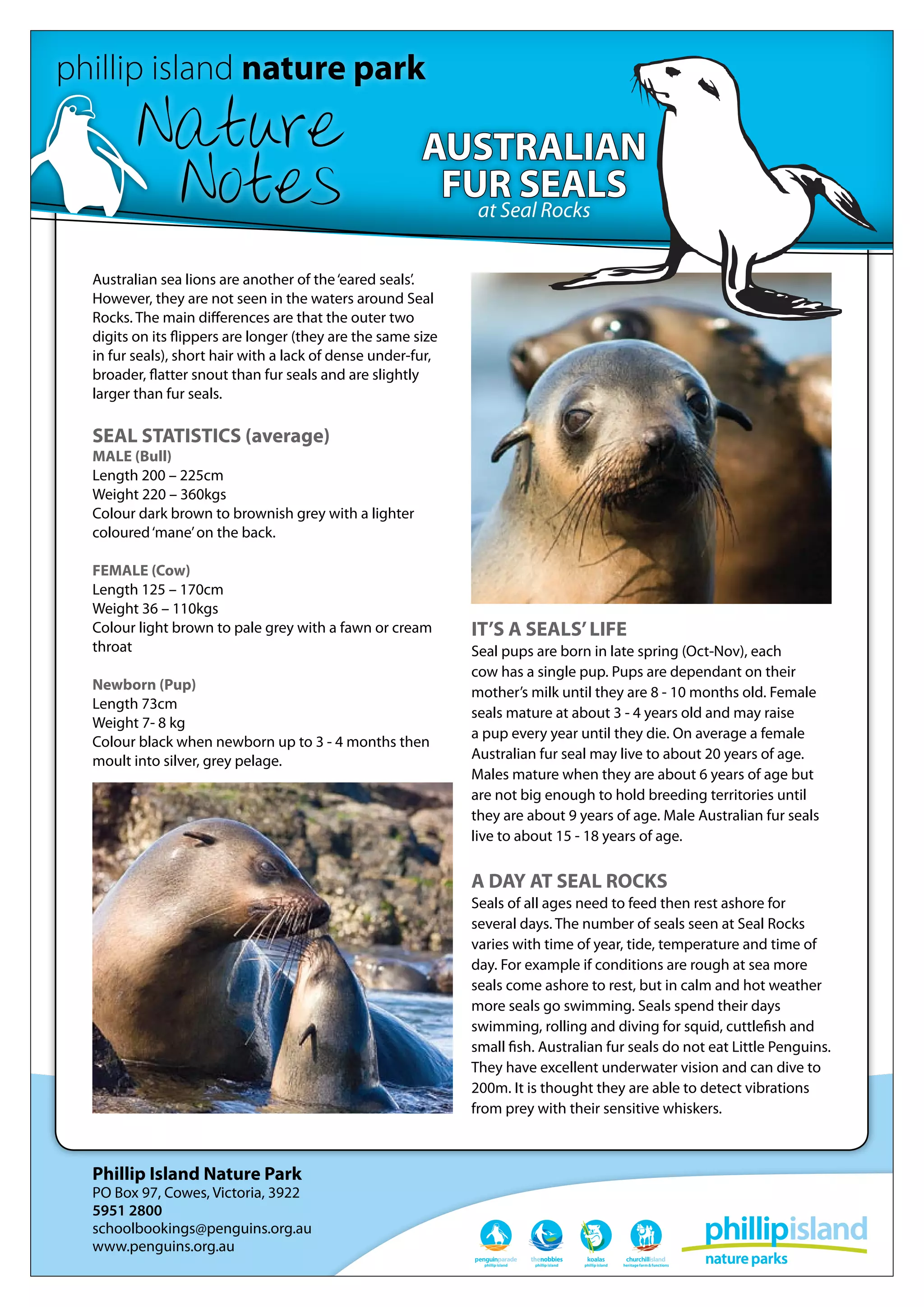 0382 pnp2 nature notes seals v4 | PDF