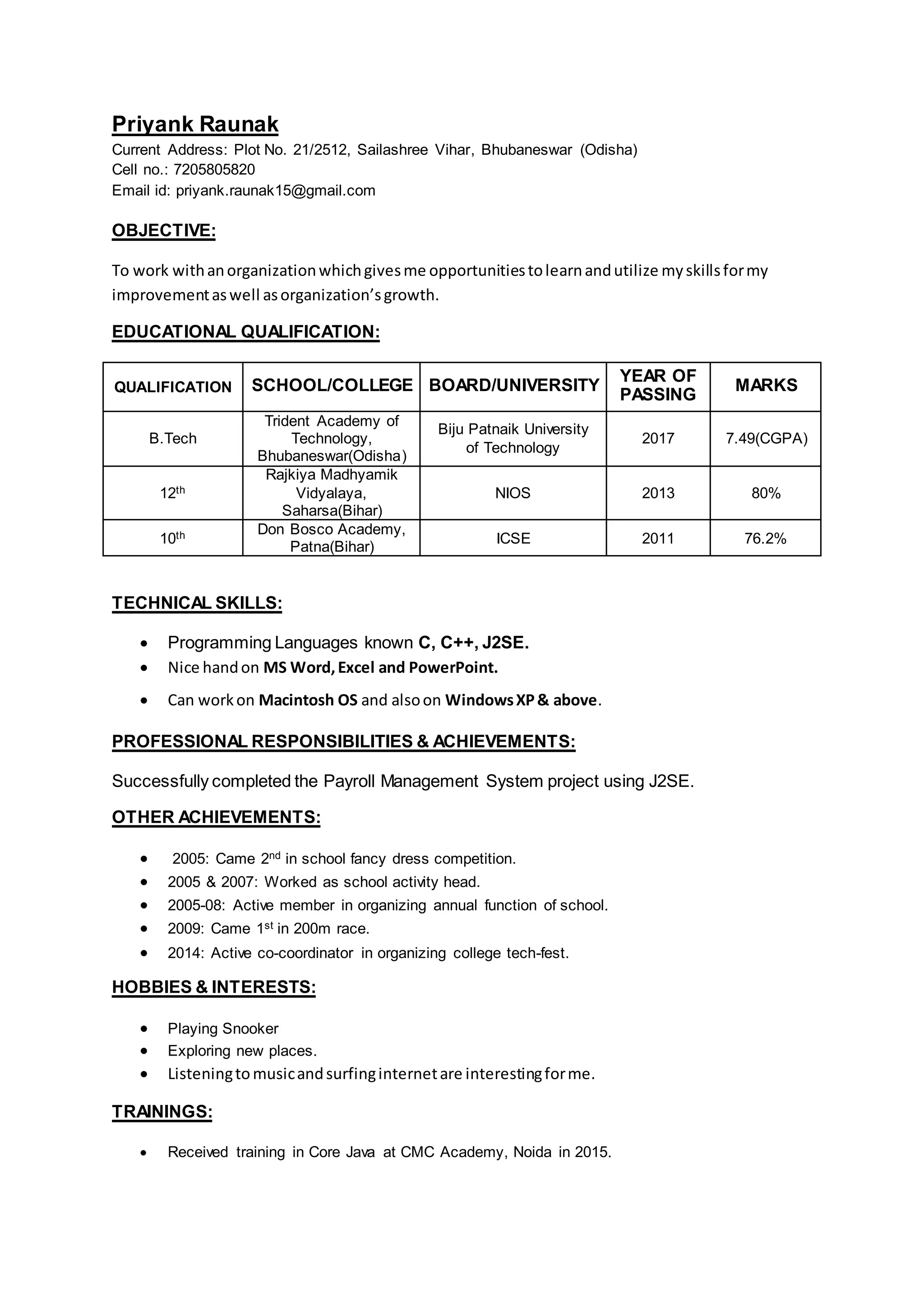 CV FORMAT 2 | DOCX | Computing | Technology & Computing
