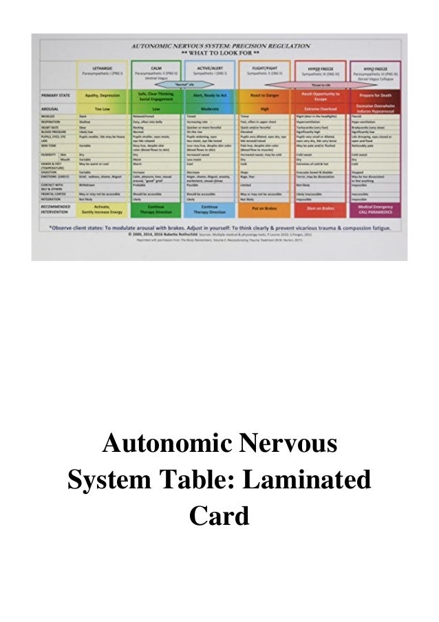 (2017) Autonomic Nervous System Table (PDF) Laminated Card by Babett…