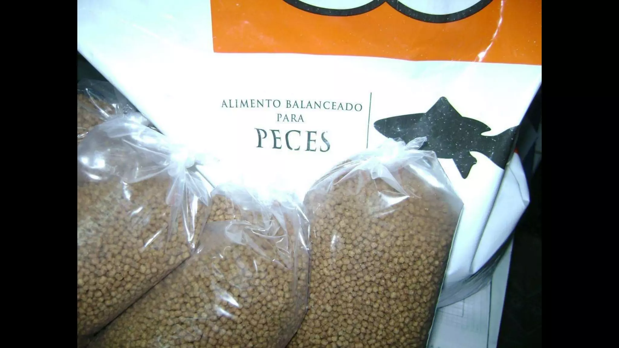 Fish feed | PPTX