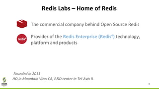 Building a Large Scale Recommendation Engine with Spark and Redis-ML with Shay Nativ | PPT