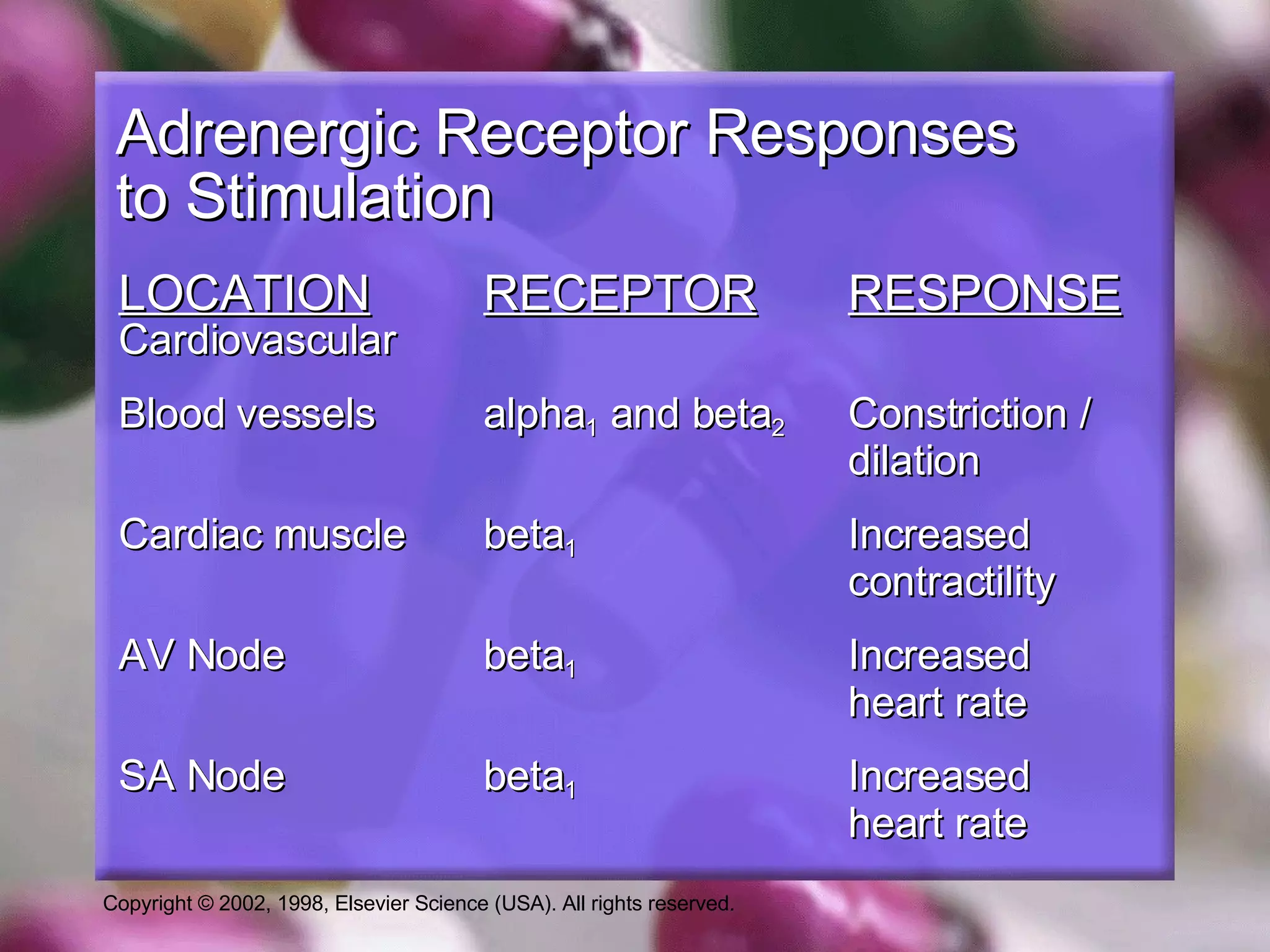 NurseReview.Org - Adrenergic Blockers | PPT
