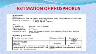 phosphorus estimation | PPTX